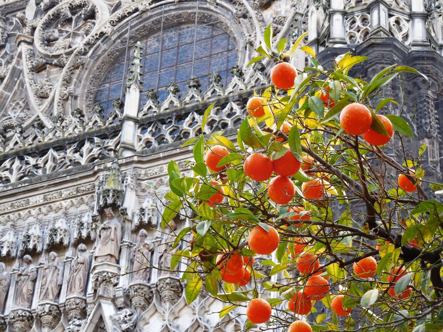 Orange City: a recipe for a colorful Spanish holiday in Seville ...